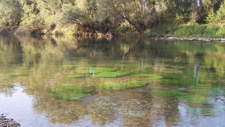 Arpav con Waste Reduce per proteggere la biodiversità - Agenzia ...